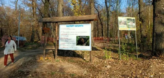 Корпорация «BAZIS-A» выступила с заявлением по роще Баума